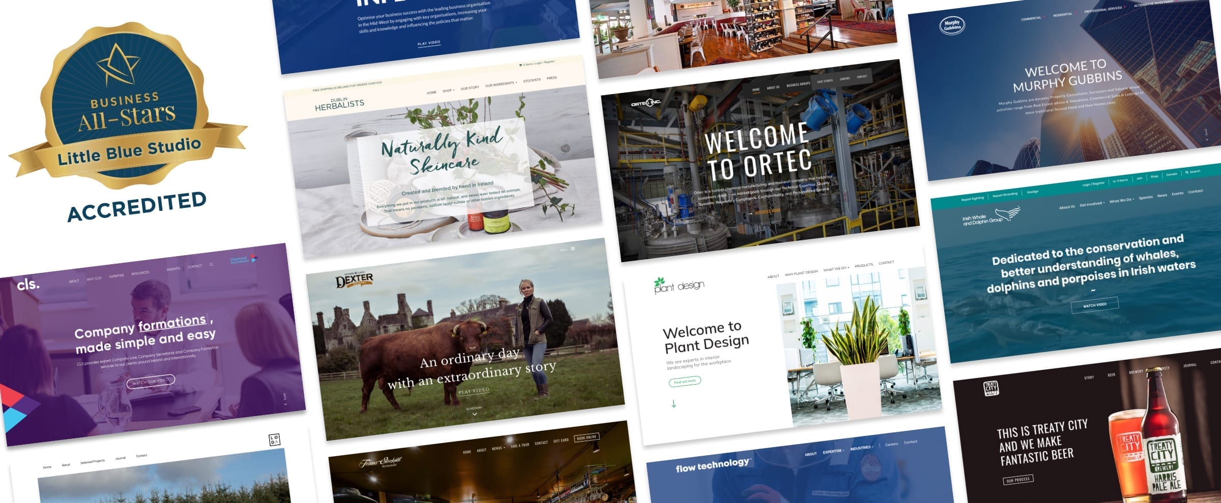 Scoilnet Maps | Little Blue Studio